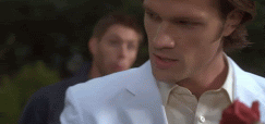 GIF Parade