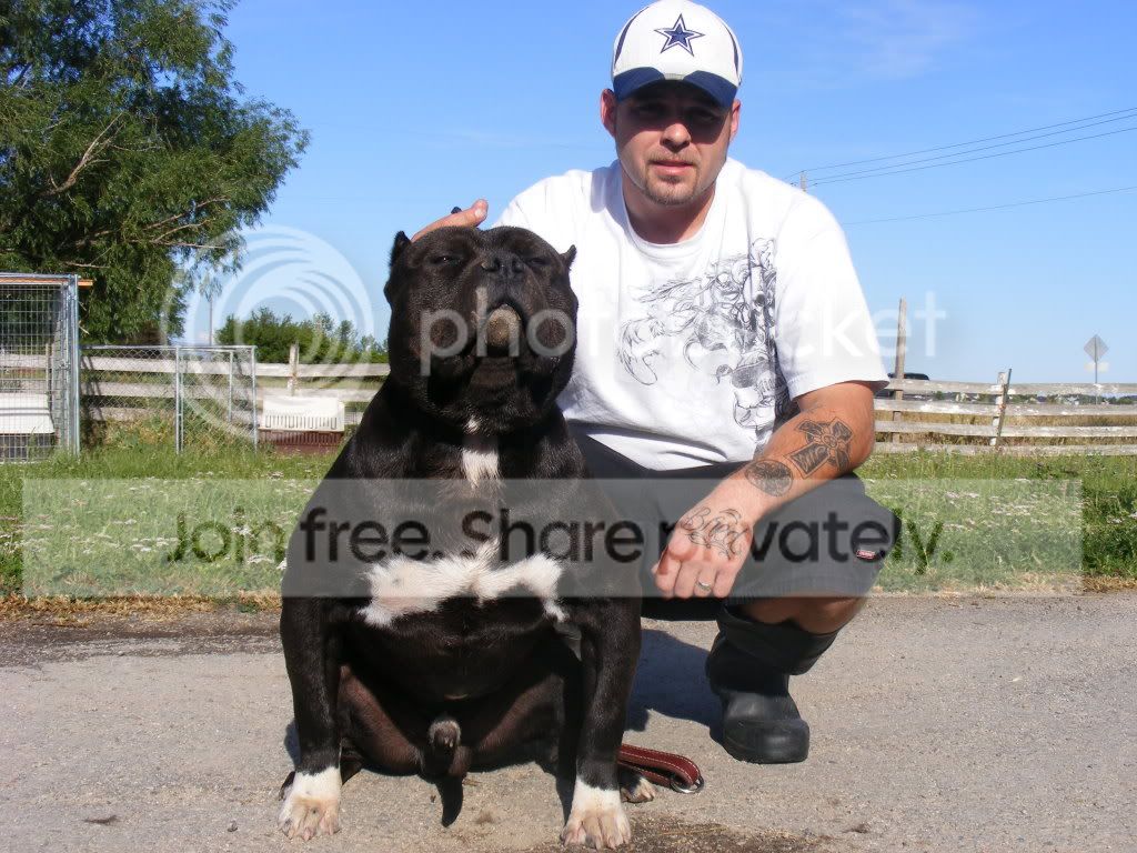 ***PITFARMS FREAKSHOW aka GOON***