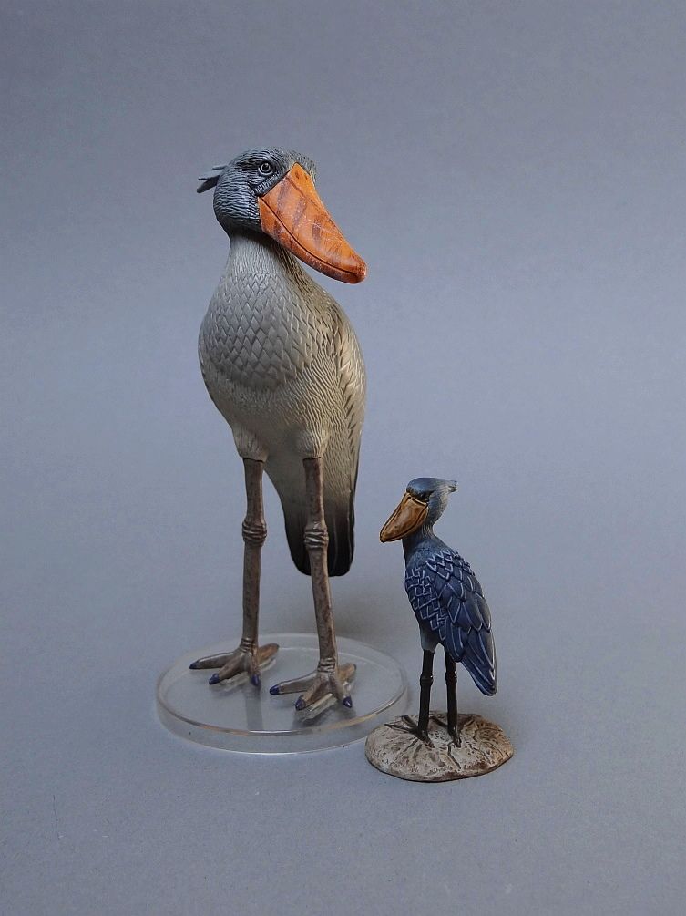 Eikoh 'Miniatureplanet' - Shoebill walk around