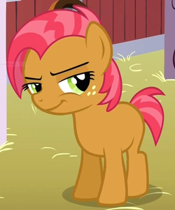 My Little Pony Friendship Is Magic