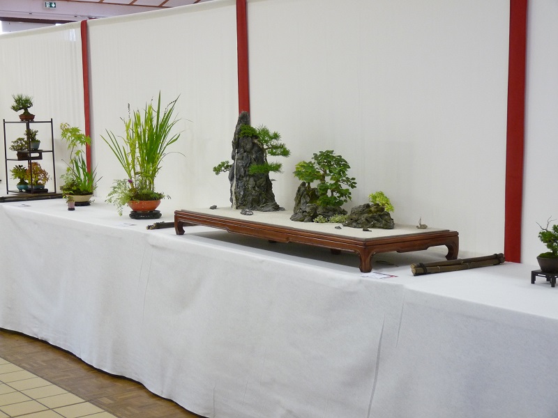 Tray landscape (giant saikei)