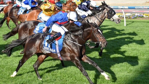 Cox Plate G1, Claufield (Ganó Adelaide)