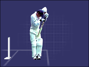 Types Of Cricketing Shots