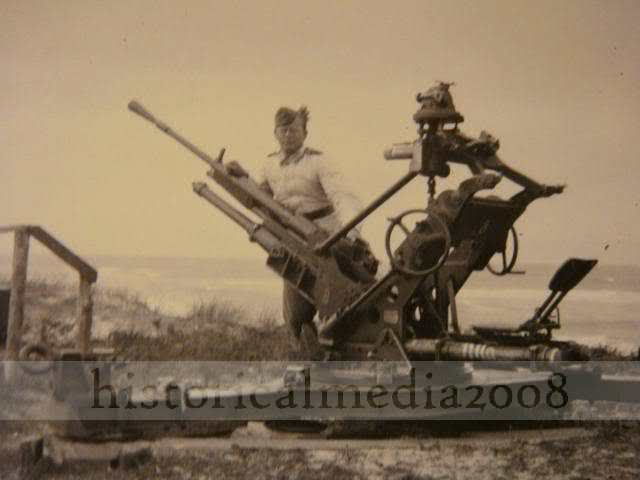 2,5 cm Flak 39 (f)