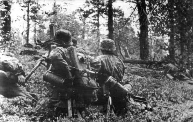 5.ª División Panzergrenadier SS Wiking
