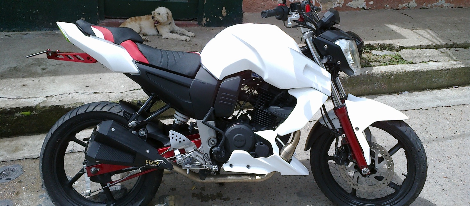 Recopilacion Fotos FZ16 Tunning