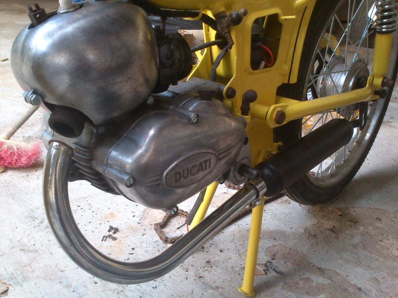 mi ducati junior