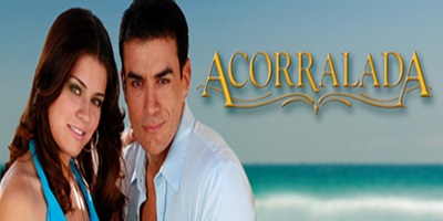 Foro gratis : SeriesNovelasPelis