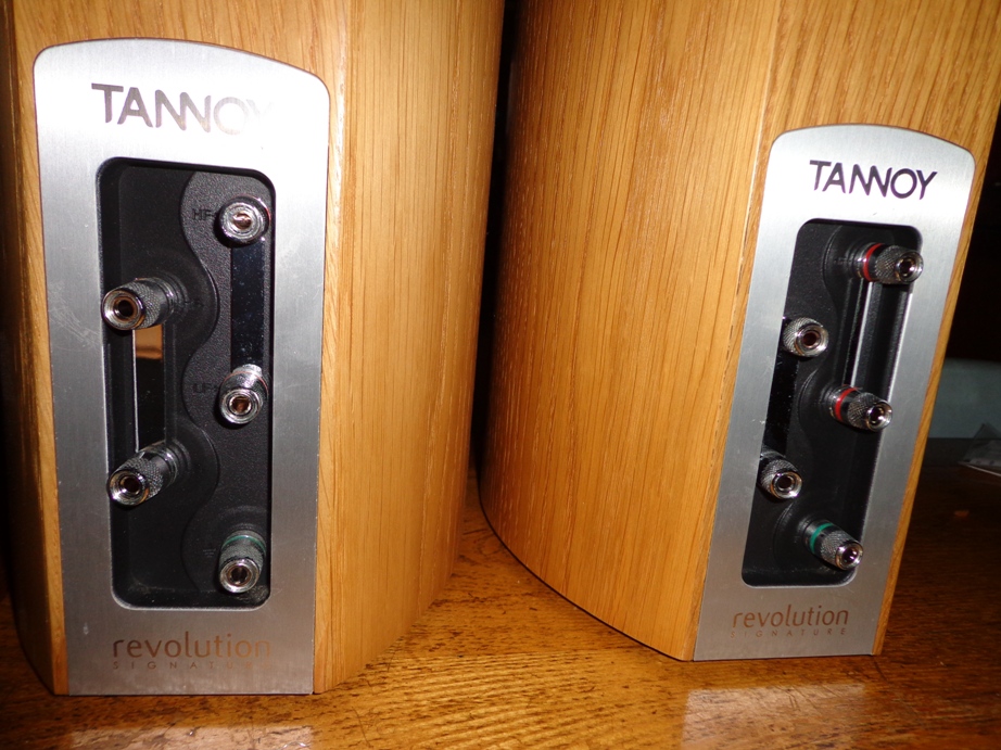Tannoy Revolution Signature DC4s