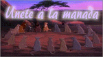 Por que cuando nuka murio dotty no se acerco.