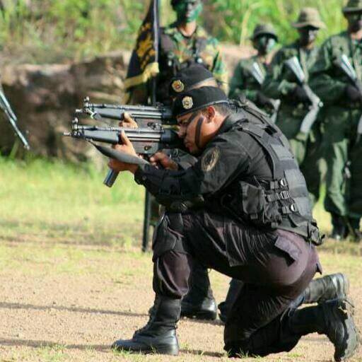 FAES del Ejército Bolivariano