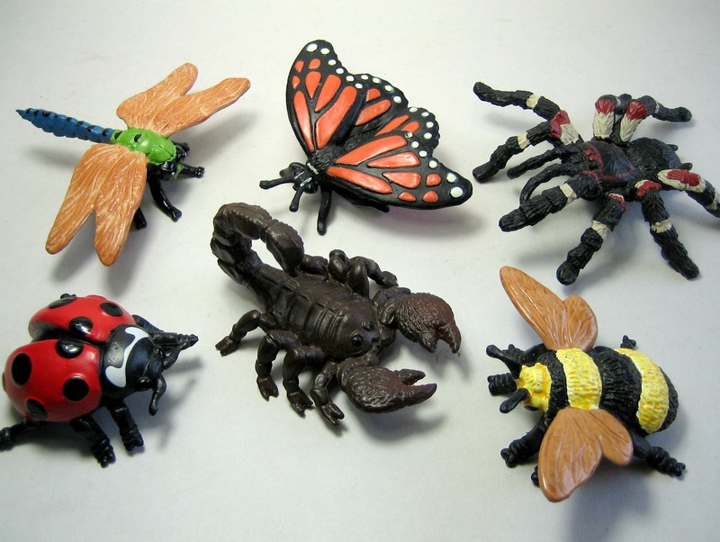 Safari authentics insect :-)