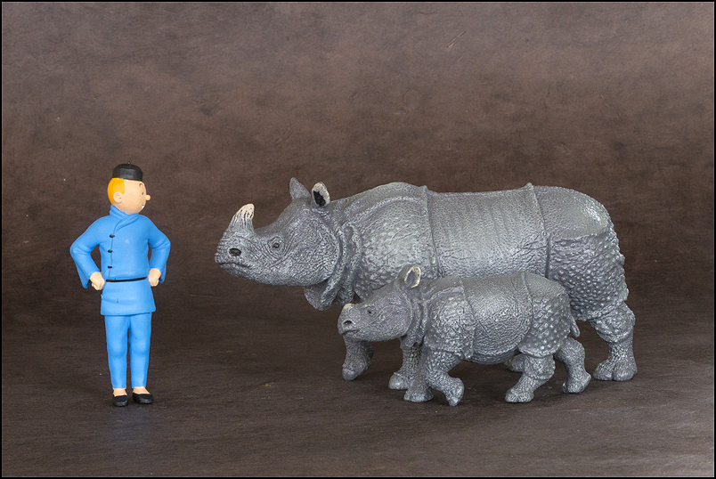 The PAPO Indian Rhinoceros and calf walkaround by Kikimalou