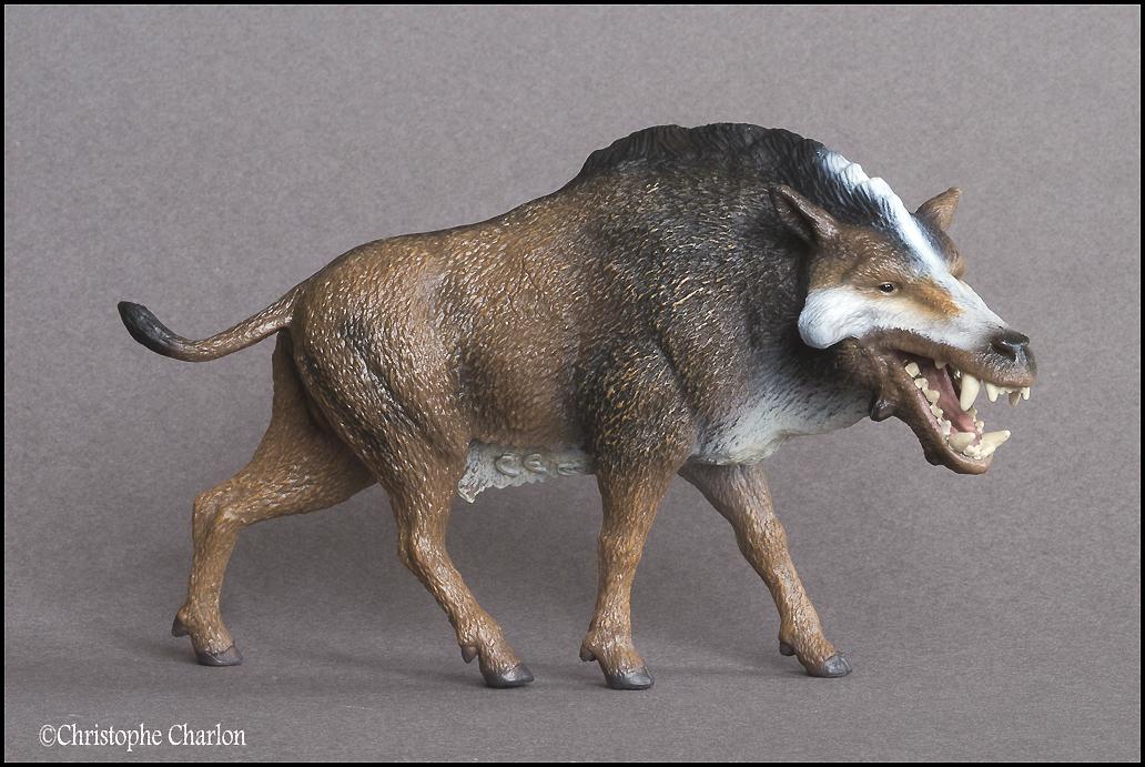 CollectA 88723 Daeodon - Deluxe 1:20 Scale: A walkaround by Kikimalou