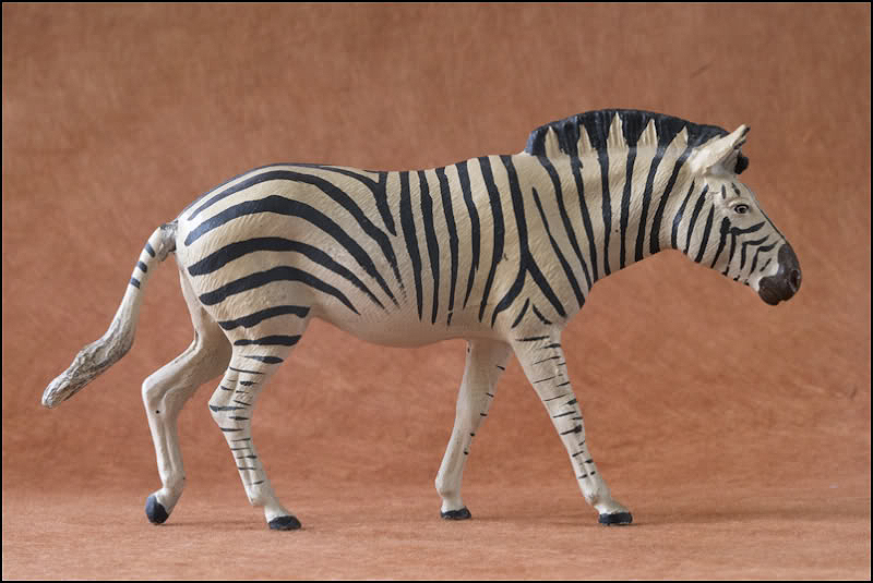 The LINEOL series IV zebra walkaround by Kikimalou