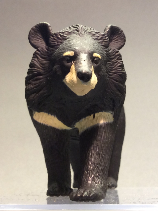Safari Moon bear, 100044, 2017
