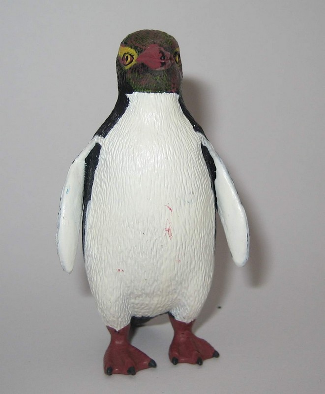 Walk around of the SSS yellow-eyed penguin!