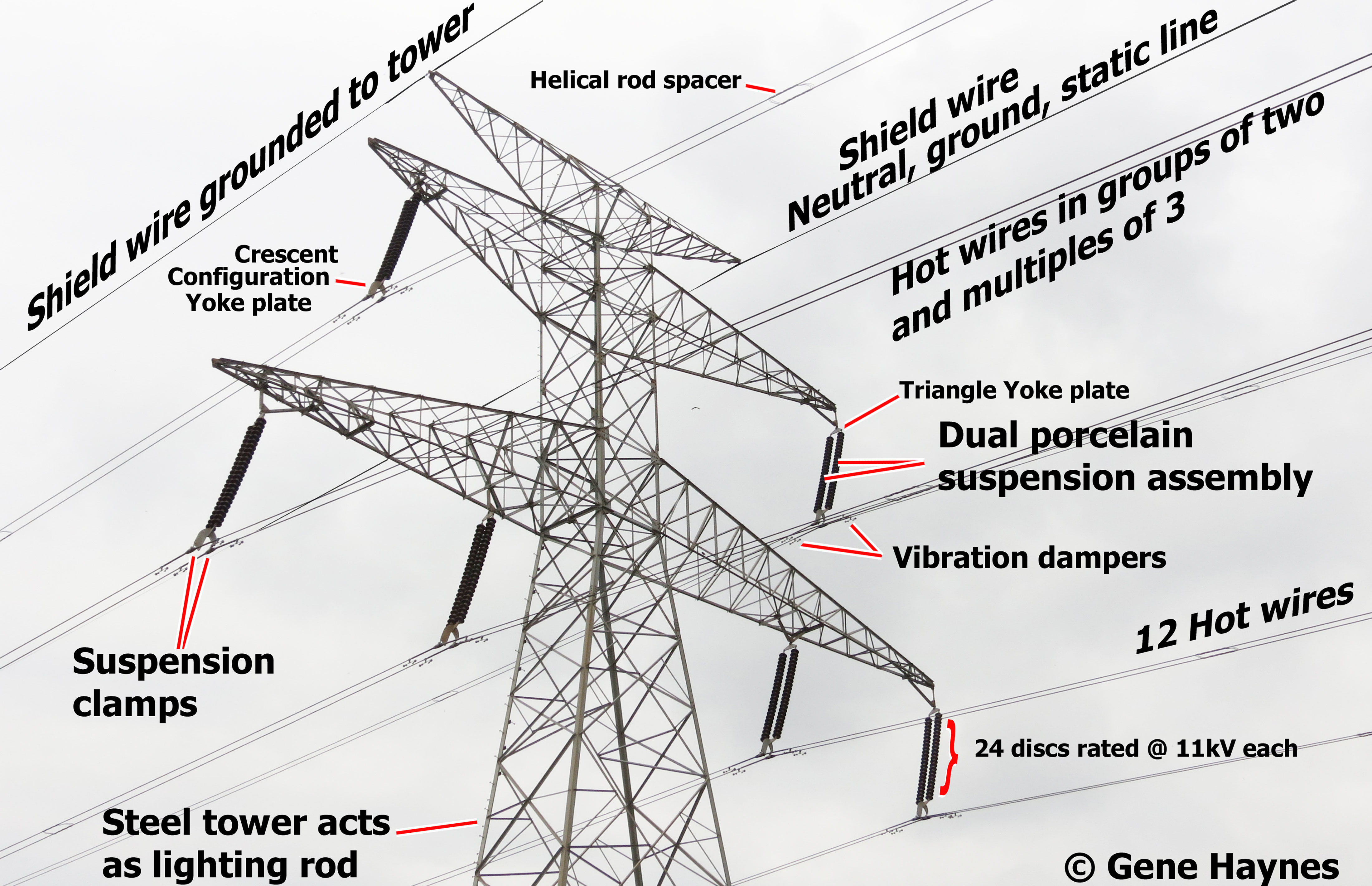 Electric Fence