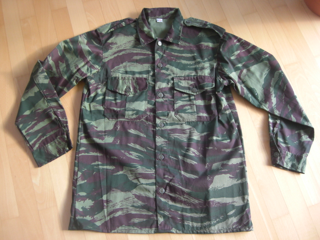 Cyprian lizard camo