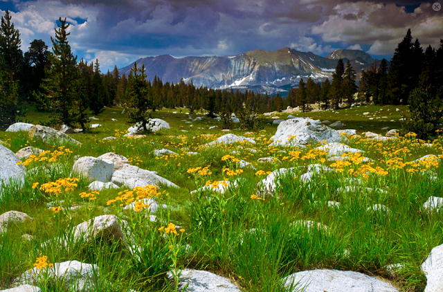 Nature Photography in California Central Valley