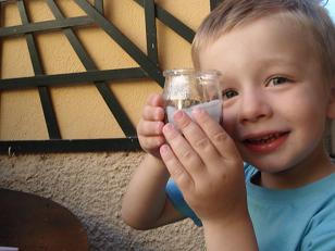 faire pousser des lentilles