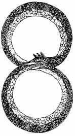 Ouroboros