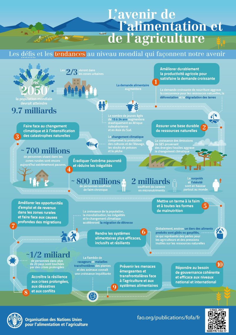 [Infographies] FAO (Organisation des Nations Unies pour l'alimentation ...