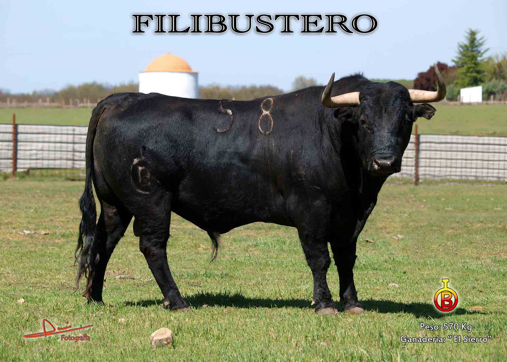 San cornudo alias niñator toro......especialista en cuadrantes ...