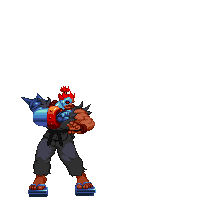 Registro de Peleas de Cyber Akuma
