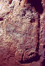 ART PARIETAL . Les Vénus paléolithiques