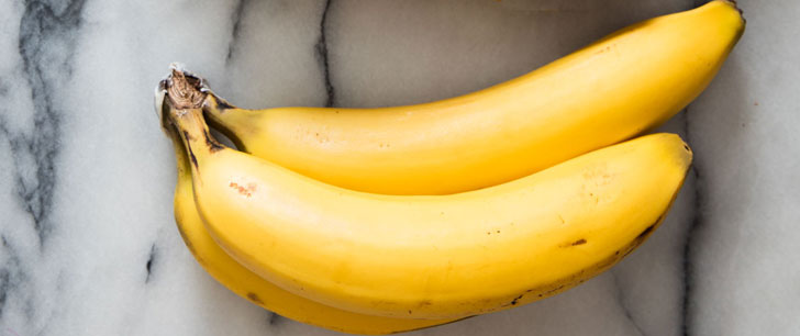 Le saviez-vous?La diphallia est une malformation qui cause une ...