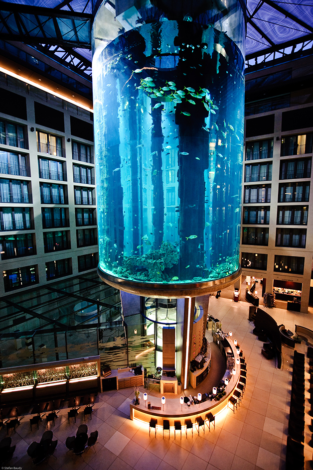 Aquariums - Page 2