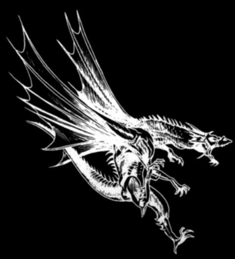 Free forum : Drako