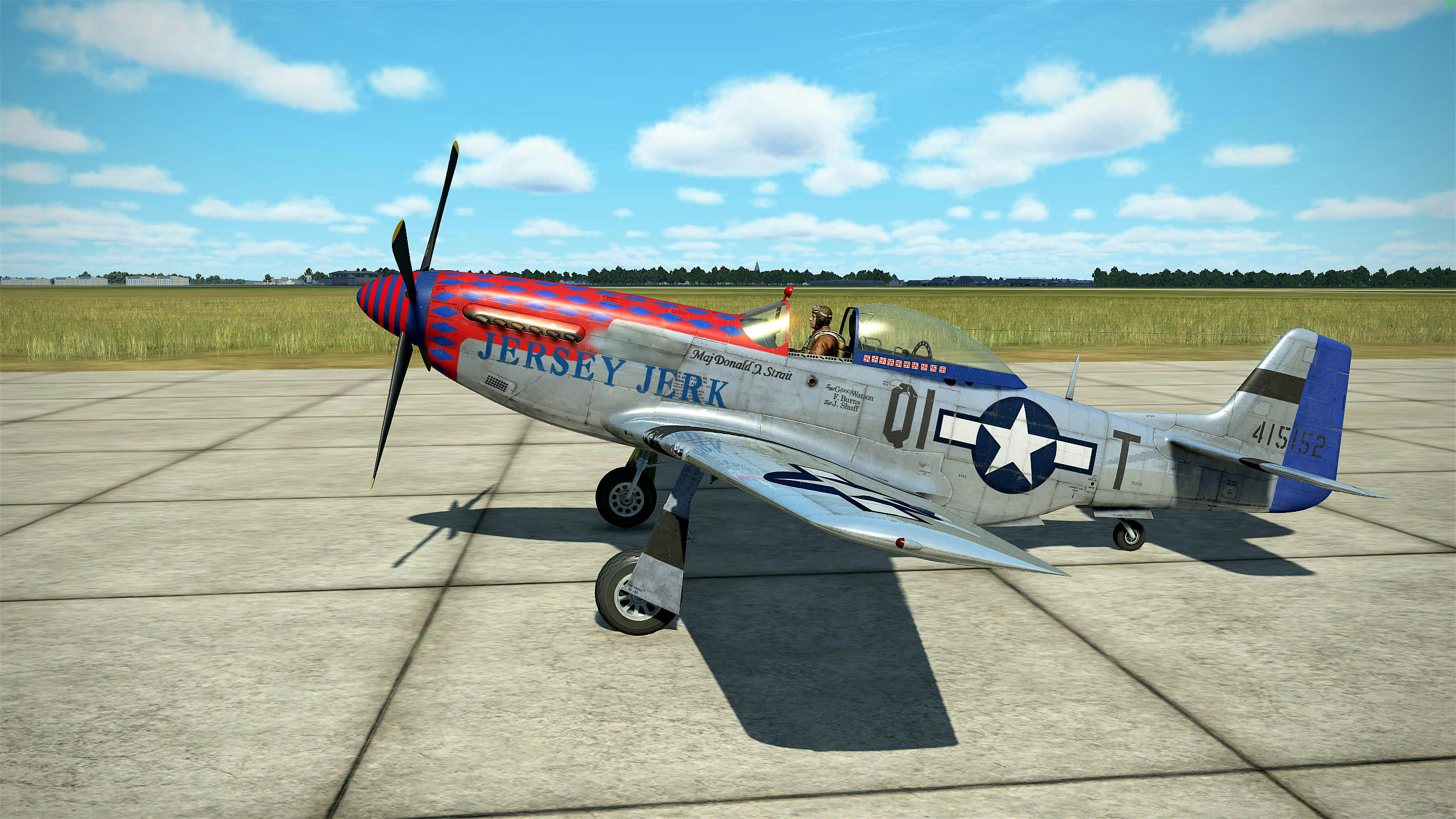 356th FIGHTER GROUP - 359th FS/ 360th FS/ 361th FS