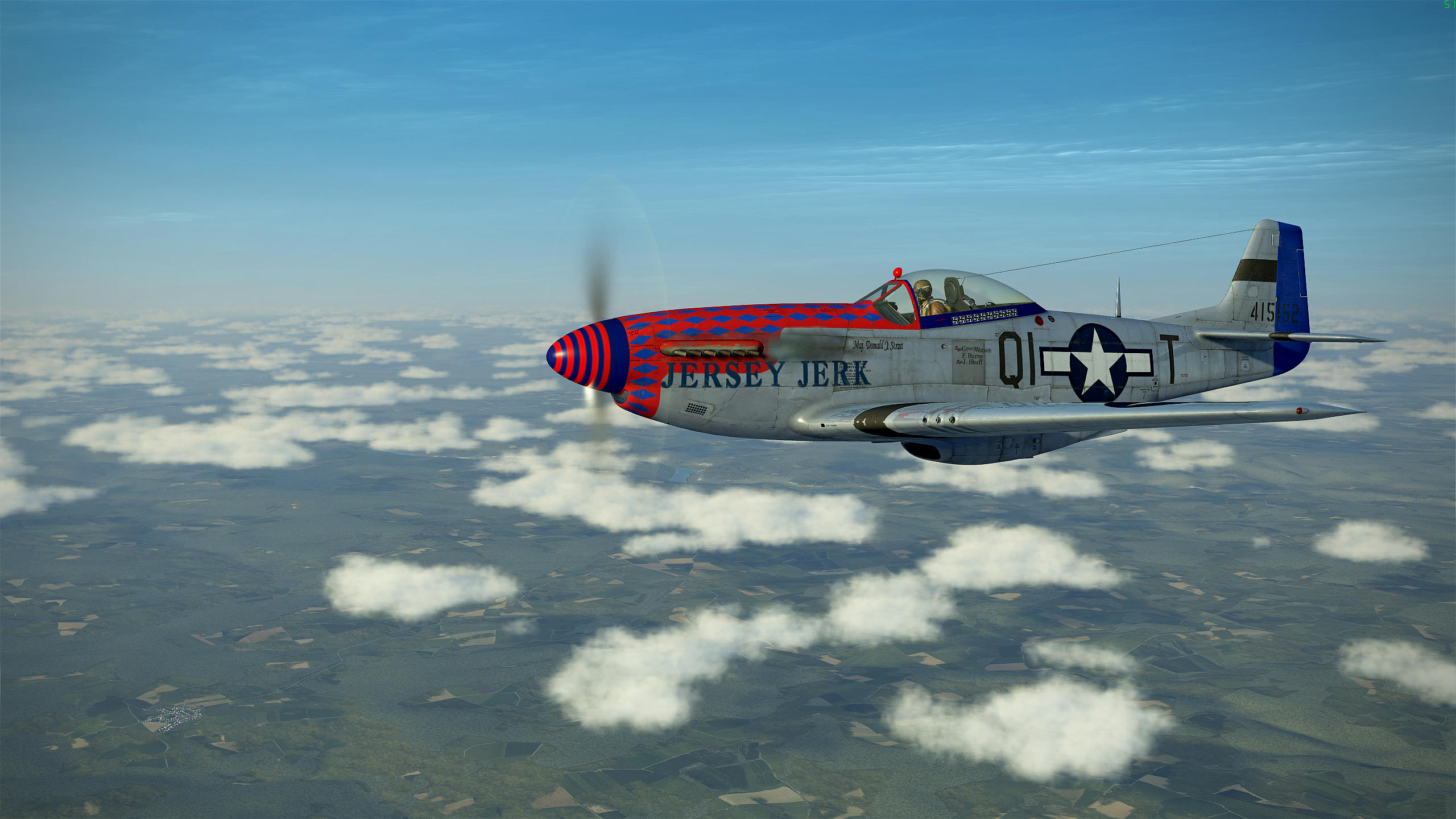 356th FIGHTER GROUP - 359th FS/ 360th FS/ 361th FS