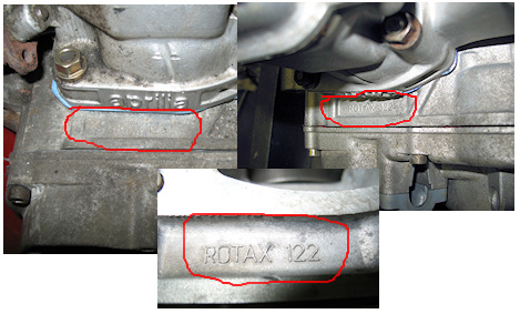 Rotax 122 or Rotax 123?