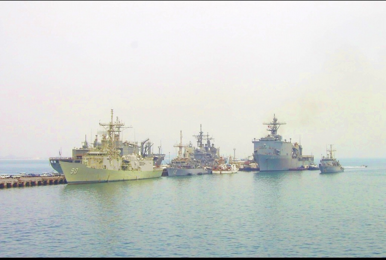 Armée Bahraini / Bahrain Defence Force (BDF)