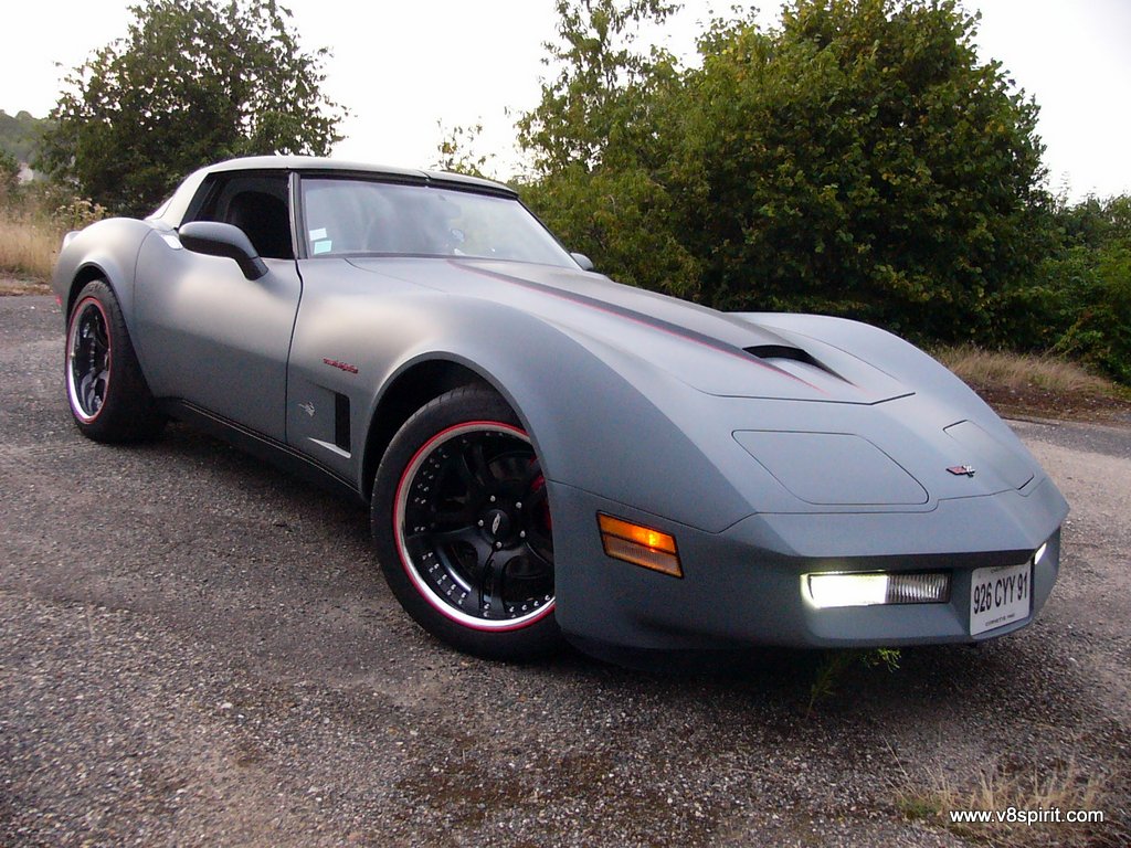 Cartoon Corvette C3... Best of !!!! - Page 3