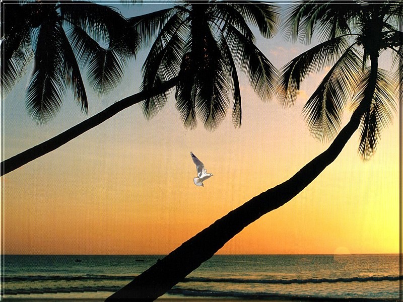 Verry Nice Netural Photography