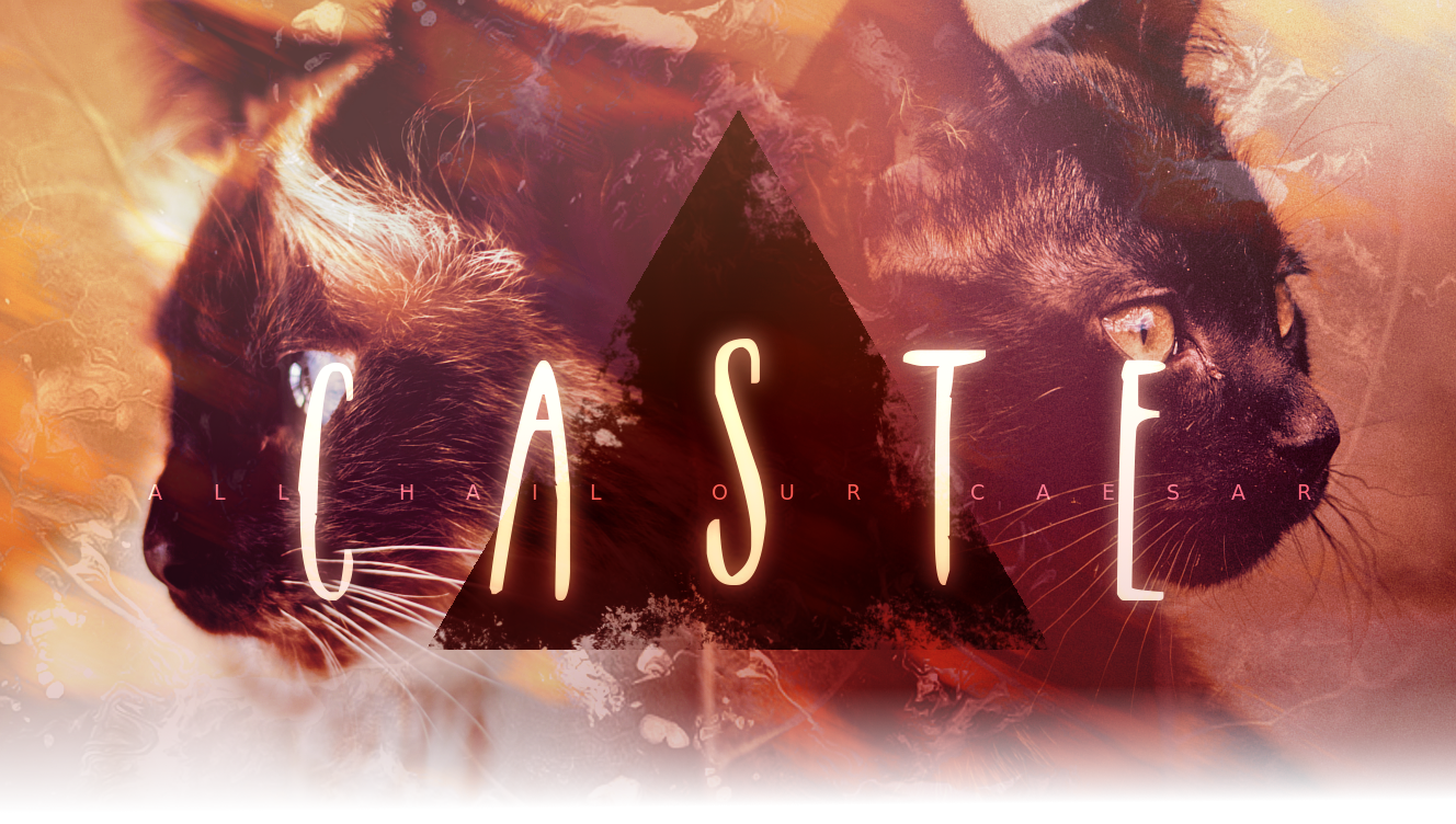 Warrior Cats: The Tide