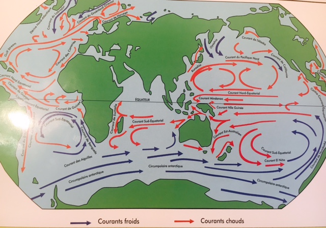 [Cours] Géographie Les courants marins (1/3)