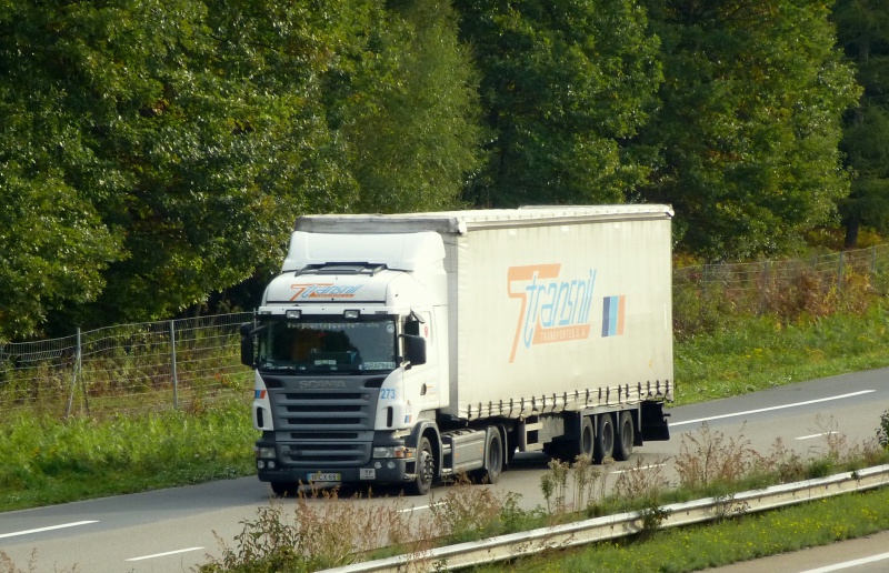 Transports Transnil (P)
