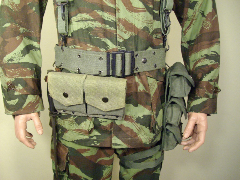 Lizard camo 5eRIAOM display