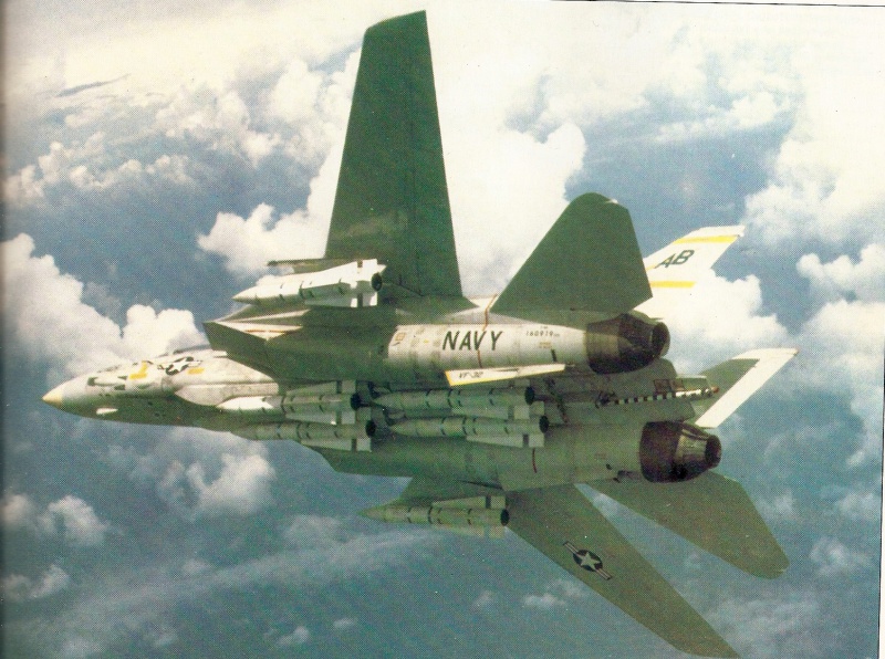 GRUMMAN F-14 TOMCAT
