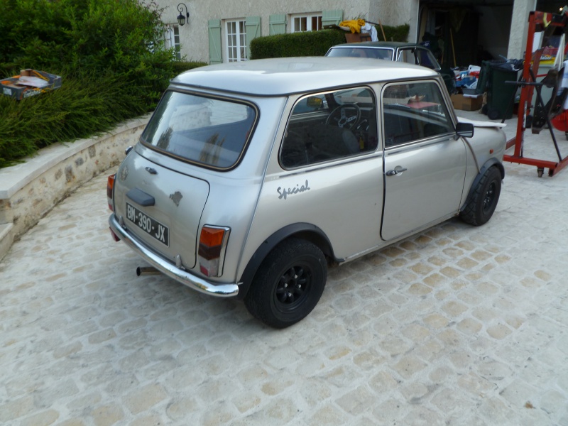 mini old english white