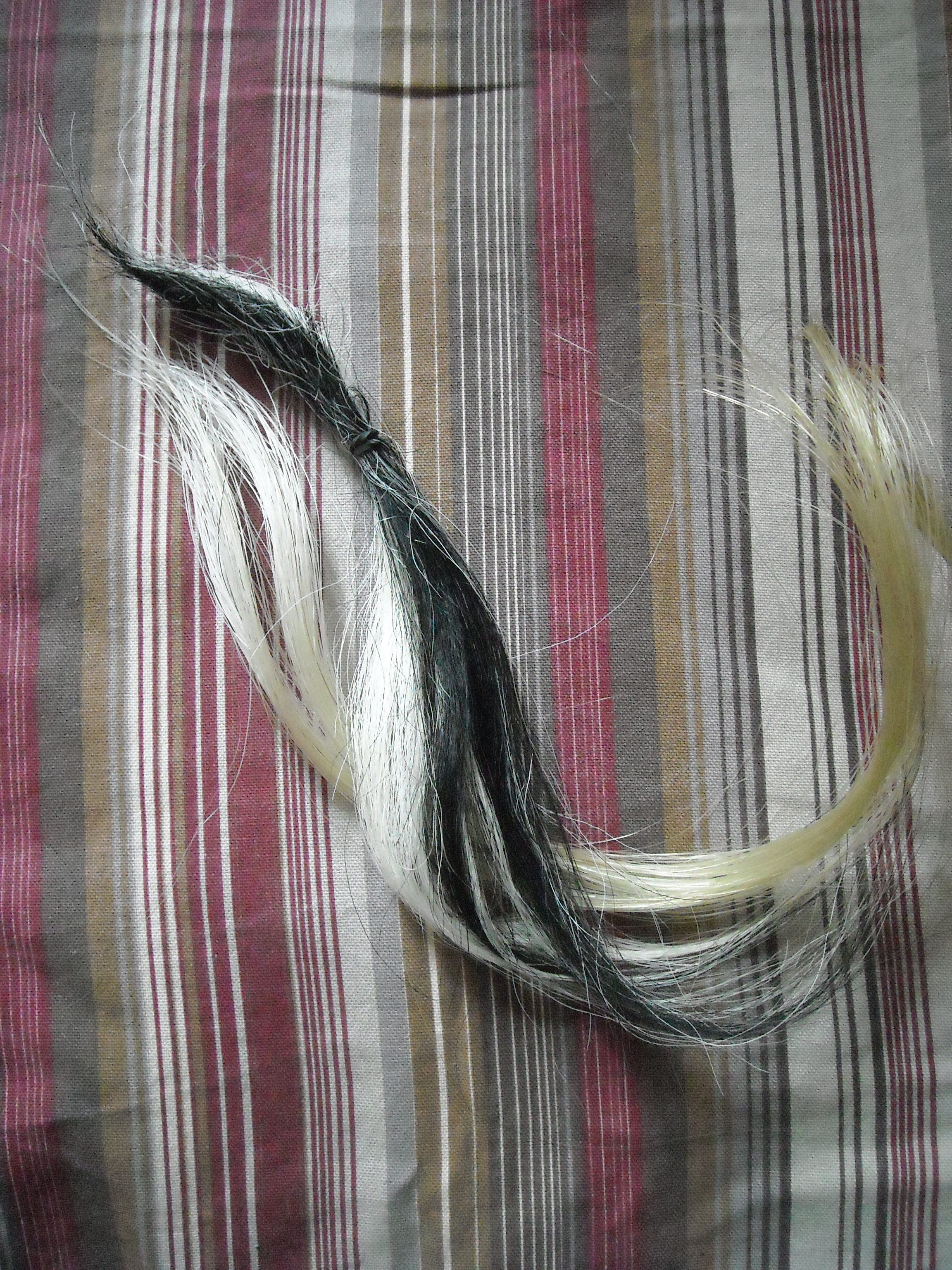 Bricolage: un tassel en crins