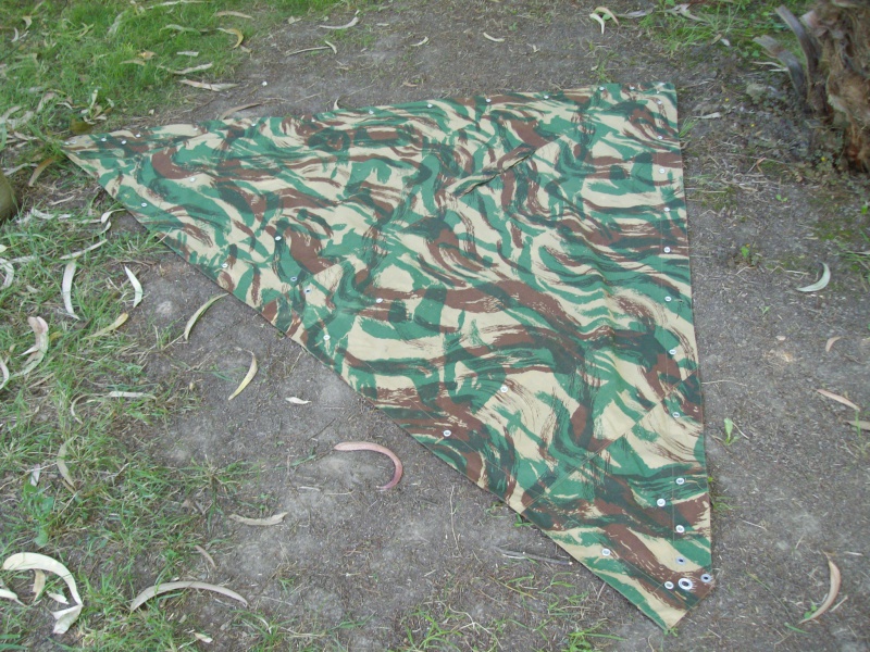 Lizard camo shelter half display