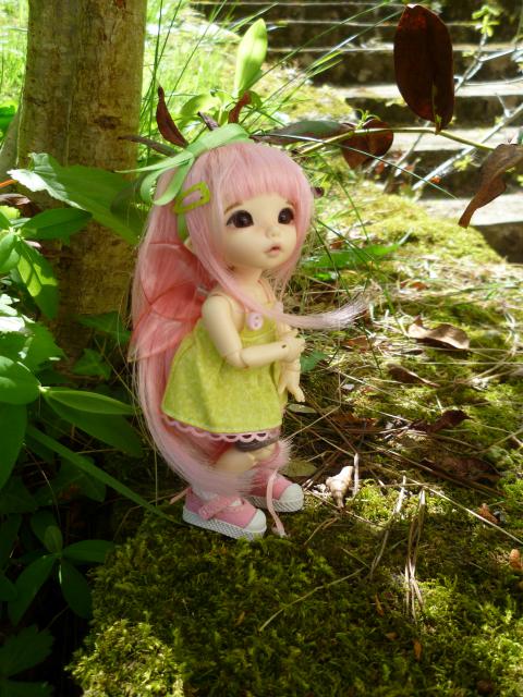[FAIRYLAND] PukiPuki, Multihead et PukiFée Ante