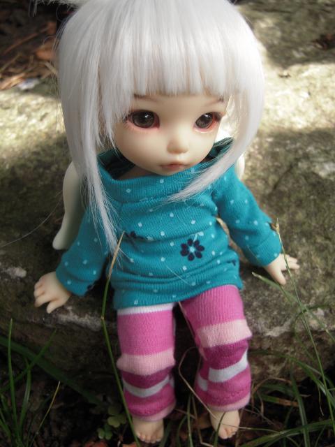 [FAIRYLAND] PukiPuki, Multihead et PukiFée Ante