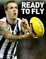 AFL Manager Game